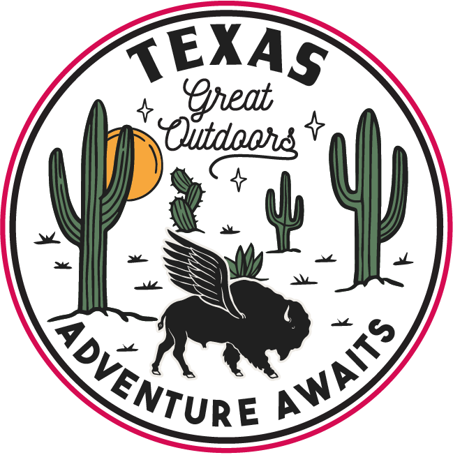 Adventure Awaits Buffalo Coaster – American Brand Studio